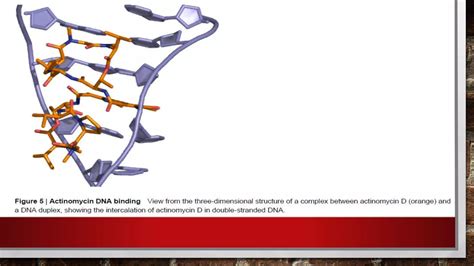 Drug Nucleic Acid Interaction Pptx