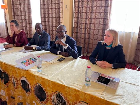 Building Capacities Of Unct In Cameroon On Systems Thinking And