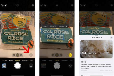 The Best New Ios Features And How To Use Them The Plug Hellotech