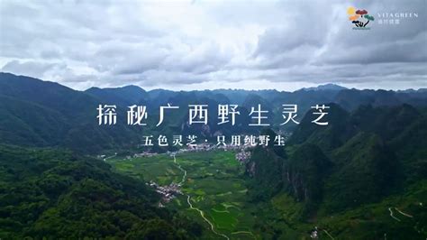 上海好摄景 视频拍摄 宣传片制作 广告摄影 空间摄影 上海好摄景传媒广告有限公司