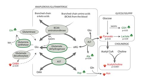 Mapping Of Meta Analysis Data Onto Biochemical Pathways Several