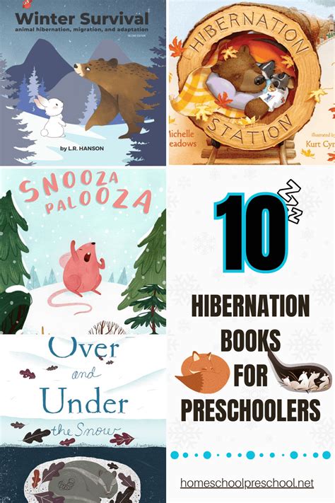 Discover The Best Hibernation Books For Preschoolers
