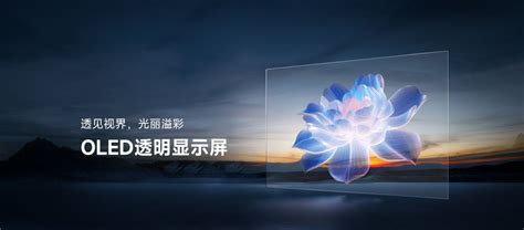 55寸oled透明屏新款桌面款 深圳共显盛视科技有限公司 Oled显示屏厂家生产商供应商