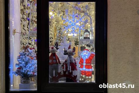 Активисты Народного фронта поздравили зауральских детей с Новым годом