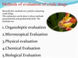 Method Of Evaluation Ppt