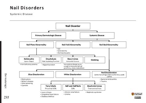 Nail Disorders Systemic Disease Blackbook Blackbook