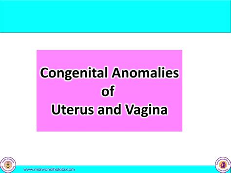 Genital System Anomalies PDF