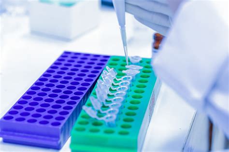 과학자 파이펫이 샘플을 테스트 마이크로티터 튜브에 떨어뜨립니다 0명에 대한 스톡 사진 및 기타 이미지 0명 건강관리와 의술 과학 Istock