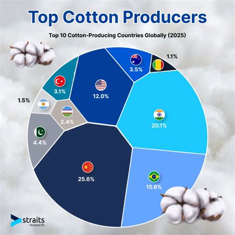 The Top 10 Cotton Producing Countries Around The Globe 2025