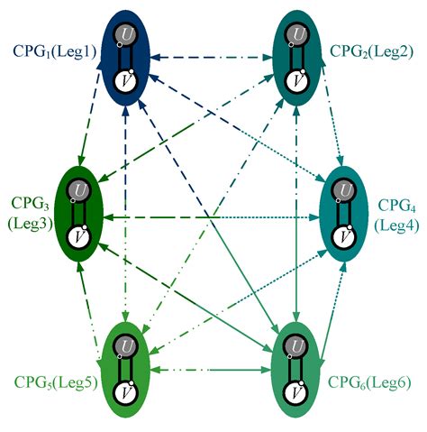 Cpg Based Gait Generation Of The Curved Leg Hexapod Robot With Smooth Gait Transition