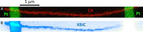 Video X Ray Beam Induced Current Measurements For Multi Modal X Ray Microscopy Of Solar Cells