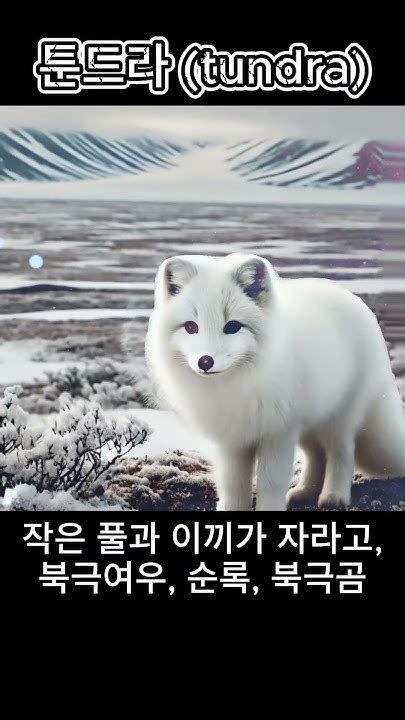 툰드라 그리고 기후위기 Youtube