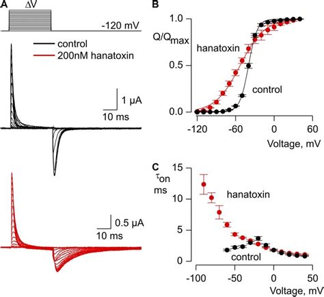 Influence Of Hanatoxin On Gating Charge Movement In The Shaker Δ3w434f