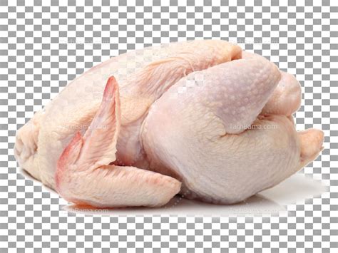 عکس مرغ بدون پس زمینه