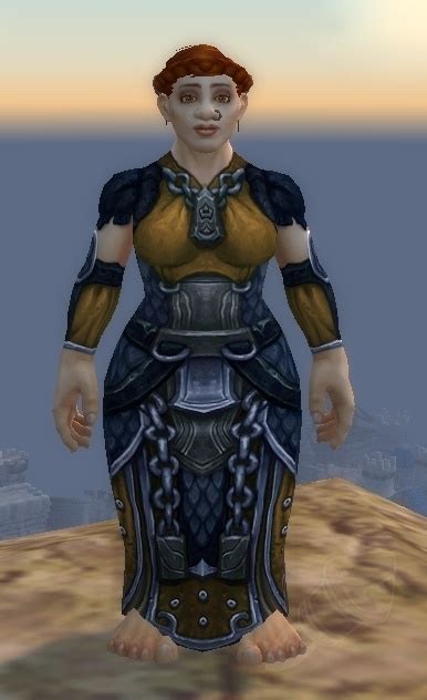 Windspeakers Tunic Item World Of Warcraft