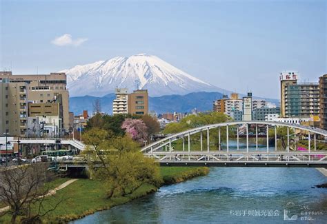 東北の春旅！岩手県の桜スポットと世界遺産の平泉、ゆったり舟下りも 北海道生活