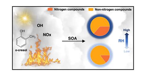 Effects Of Relative Humidity On Time Resolved Molecular Characterization Of Secondary Organic