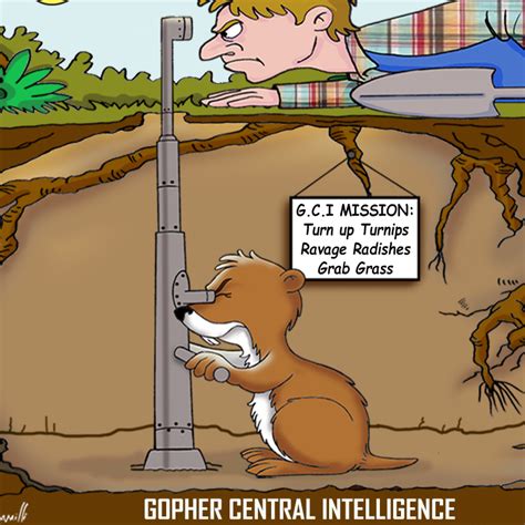 Gophers Survive Exploding Volcanoes Corkys Pest Control