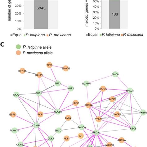 allele specific gene expression a stacked bar graphs indicate the download scientific diagram