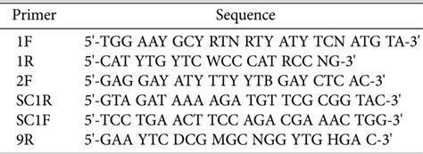 Primers For The Cloning Of β Glucan Synthase Gene In Sparassis Crispa Download Scientific Diagram