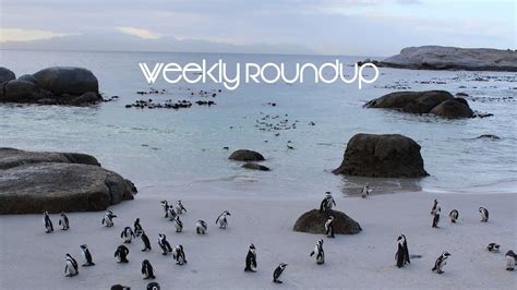 Linux Weekly Roundup Manjaro GNOME And More