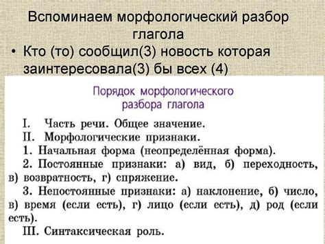 Пример морфологического разбора глагола 5 класс