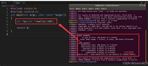 Valgrind使用记录 Csdn博客