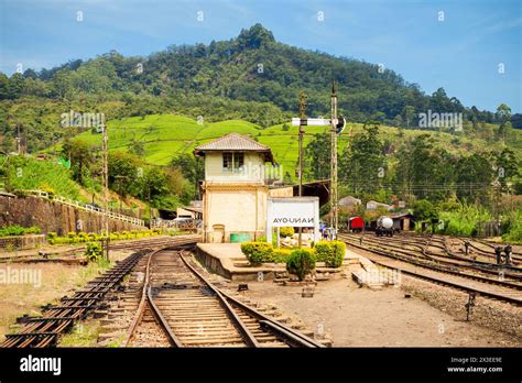 The Nanu Oya Railway Station Near Nuwara Eliya Sri Lanka It Is The