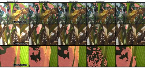 Comparison Between The Ground Truths And The Segmentation Results Of