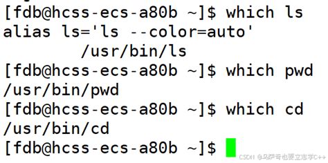 【linux】进程概念五 命令行参数与环境变量的深度解析 Csdn博客