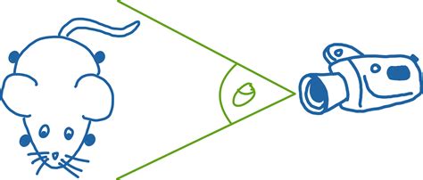 Designing A Setup JARVIS Mocap Documentation