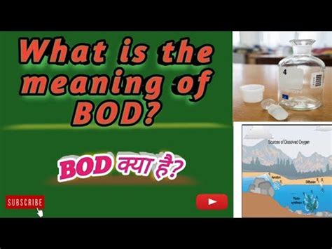 What Is BOD Biological Oxygen Demand Kya Hai Define BOD YouTube