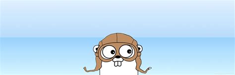 Go 结构体格式化输出golang 格式化结构体 Csdn博客