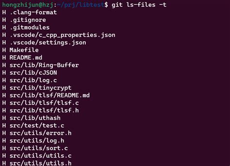 Git Ls Files命令 Csdn博客