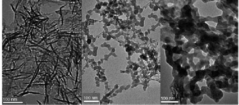 Transmission Electron Micrograph Of Cross Linked Enzyme Aggregates Download Scientific Diagram