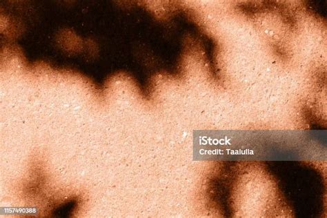 나뭇가지의 그림자가 있는 아스팔트 표면이 닫힙니다 추상 배경 오렌지 색 톤 0명에 대한 스톡 사진 및 기타 이미지 0명 갈색 거리 Istock