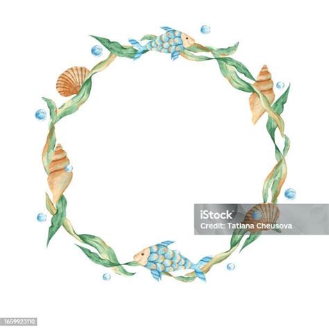 바다 화환 귀여운 물고기 해초 조개껍데기 물방울 해양 디자인 수채화 손으로 그린 그림은 흰색 배경에 분리되어 있습니다 카드 로고