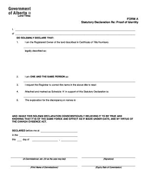 Declaration Of Identity Fill And Sign Printable Template Online