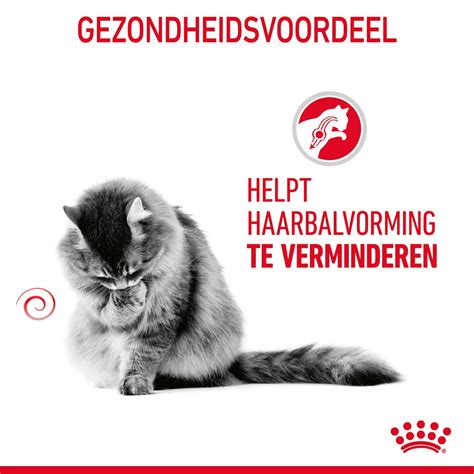 Kattenvoer - Hairball Care | Royal Canin NL