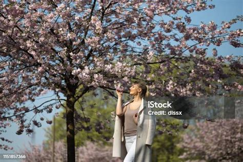 아름 다운 금발 젊은 여 자가 봄 벚꽃 공원에서 자연과 자유 시간을 즐기는 그녀의 여행 관광 자유 시간을 입고 흰색 바지와 T