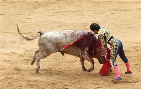 La Galería De Roland Costedoat Así Vio A Garrido Y Al Toro De Prieto