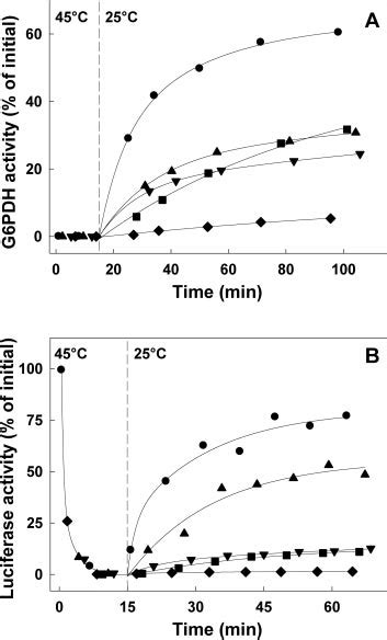 The Dnak Chaperone System Prevents Protein Aggregation During Heat