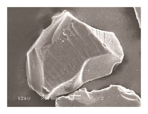 sem image of a sio2 b sio2 iminesa c sio2 iminesa pd ii d download scientific