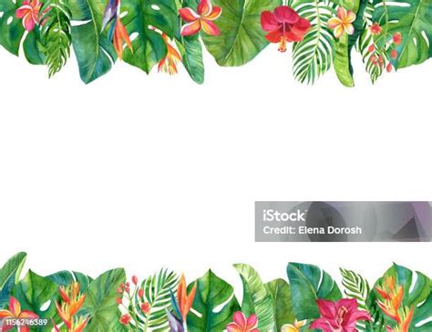 열대 잎과 꽃이 있는 미리 만들어진 카드 초대장 카드 배너 결혼식 및 기타 준비 테두리 0명에 대한 스톡 벡터 아트 및 기타 이미지 Istock
