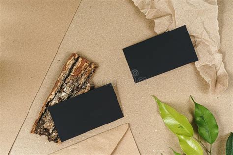 Set Of Craft Elements With Copy Space And Green Leaves Stock Photo Image Of Organic Nature