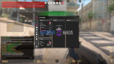 Victoria External CS 2 Hack Aimbot ESP And MORE Cheater Ninja