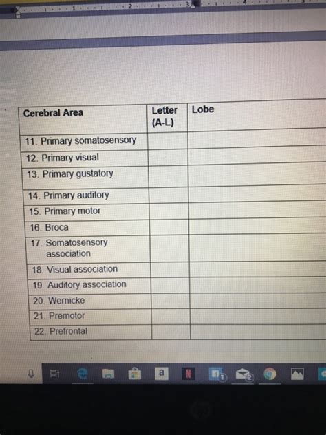 Solved Match Each Area Of The Cerebral Cortex With Its