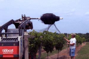 How Do I Install Bird Netting In My Vineyard MDTgrow Com