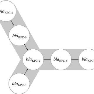 Minimum Spanning Tree Download Scientific Diagram