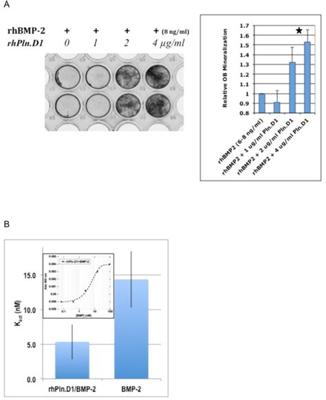 A Osteoblast Activation A Mineralization Assay Left Pre Osteoblasts Download Scientific